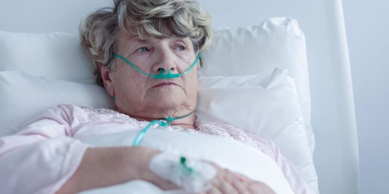 Kim jest Maja Strzelczyk? Wiek, mąż, Instagram i kariera dziennikarki ...